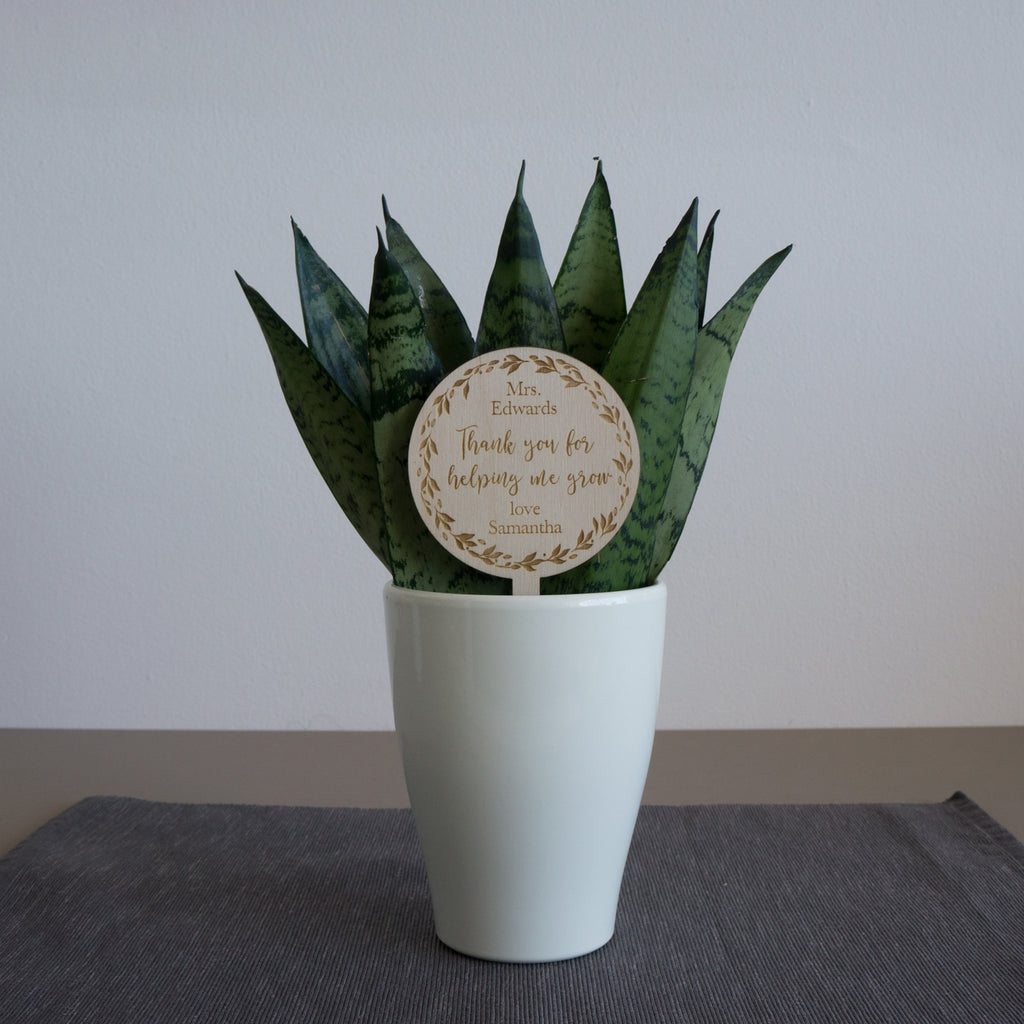 Personalised teacher plant topper. End of school year teacher gift ...